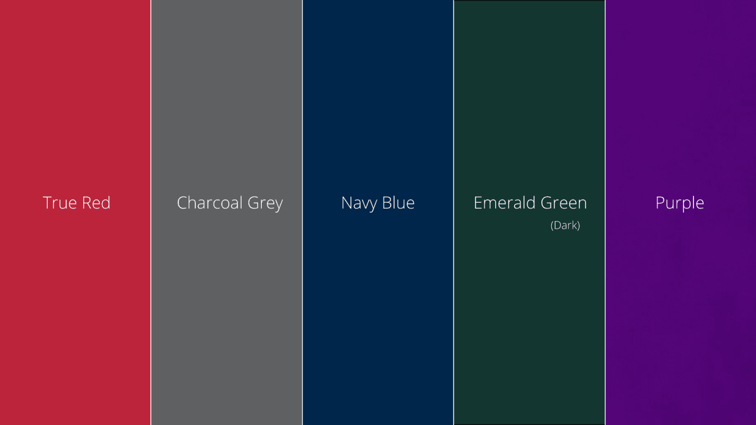 Colours to Wear for Your Corporate Portrait Photo Shoot - Vivid Snaps ...