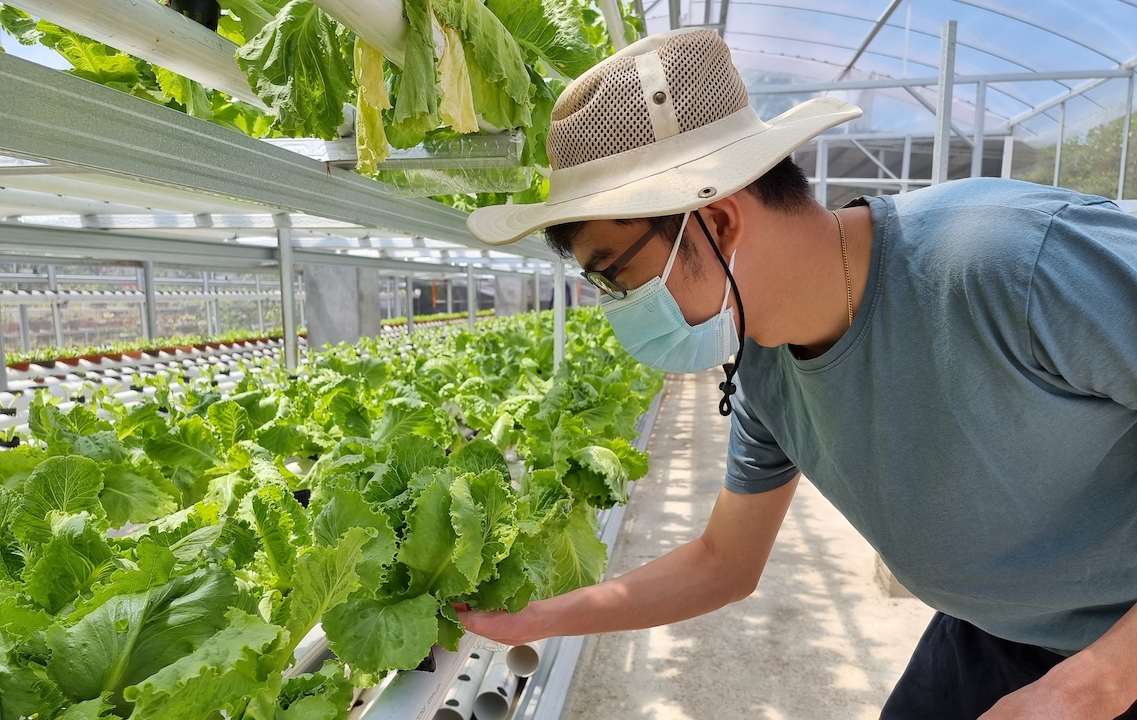 Food Video Production in Singapore - Vivid Snaps Video Production